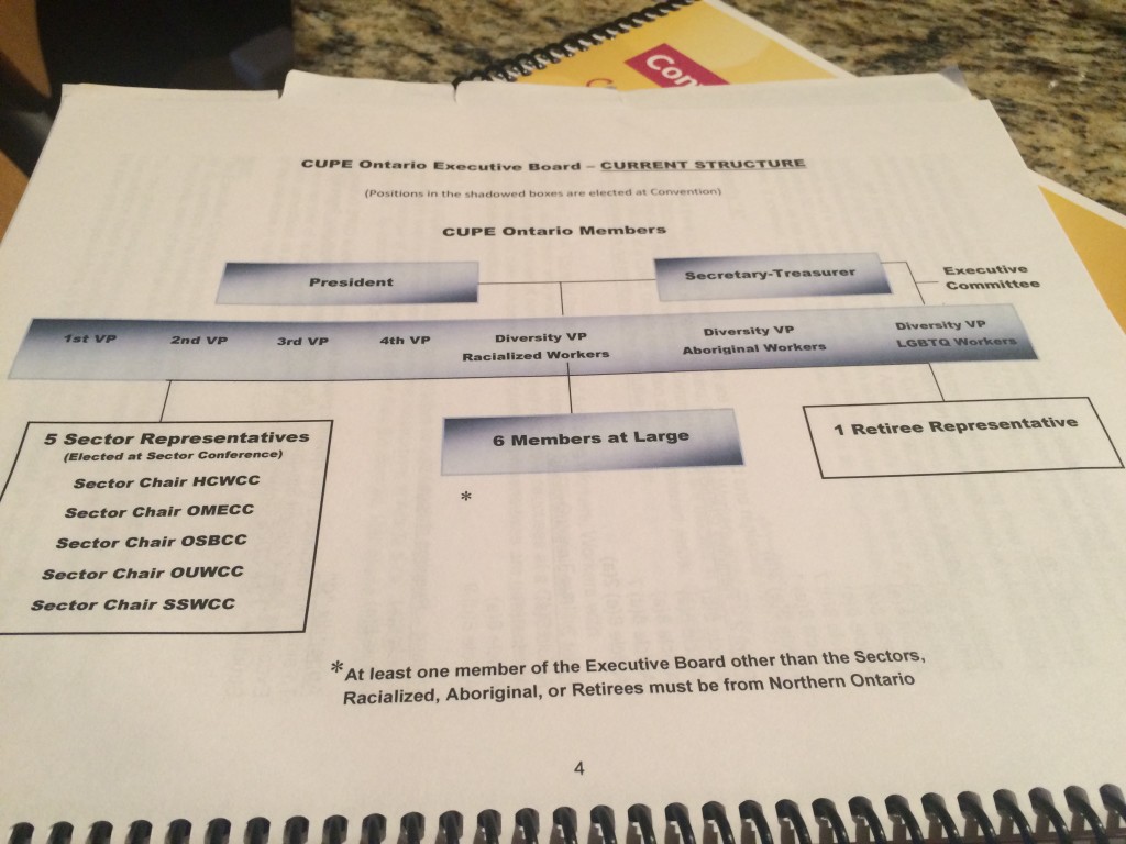 The State and Future of CUPE: Equality, Equity & Erasure